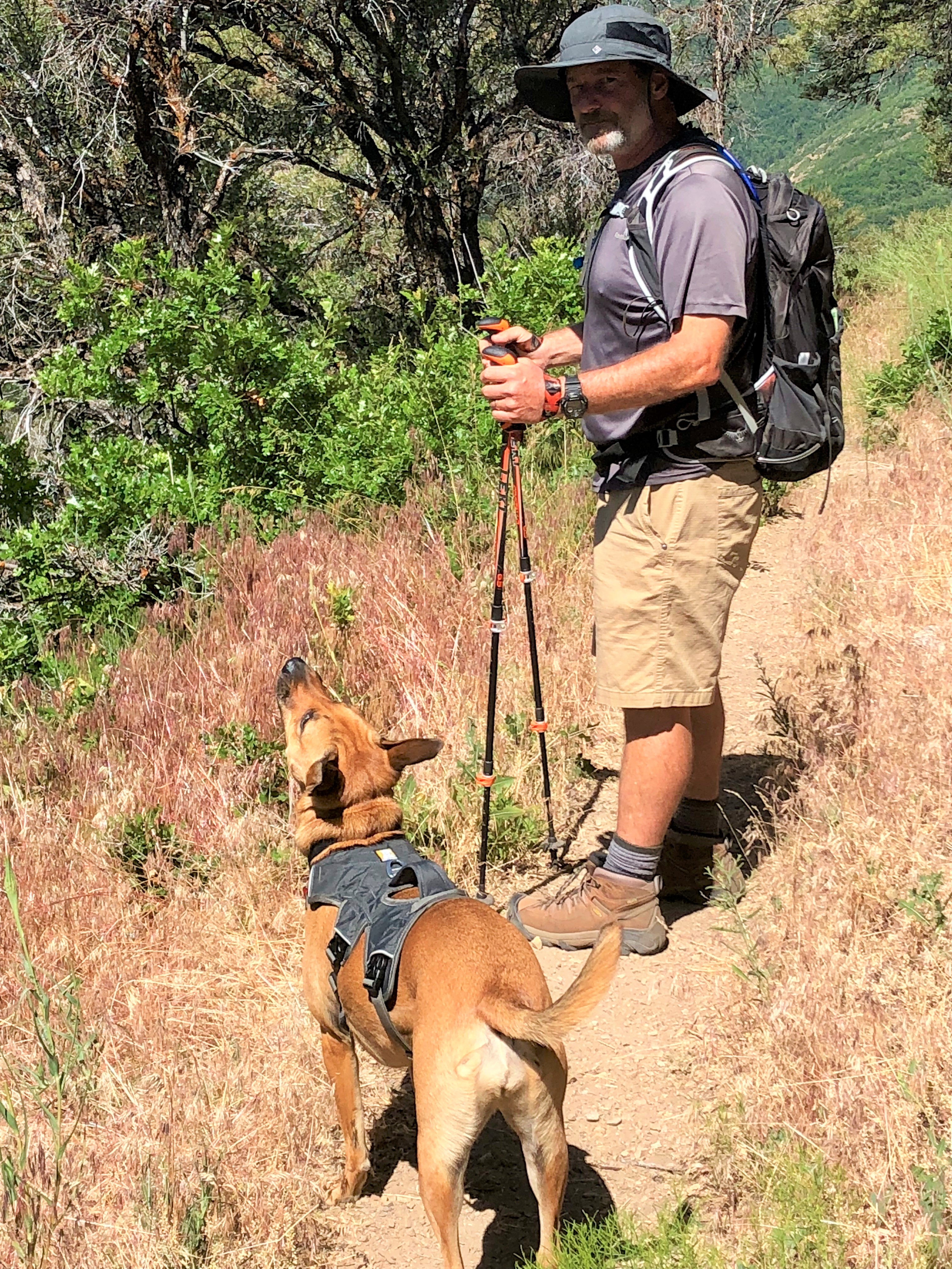 Outventure with Dogs for Adventure - Grey Otter Outventures®