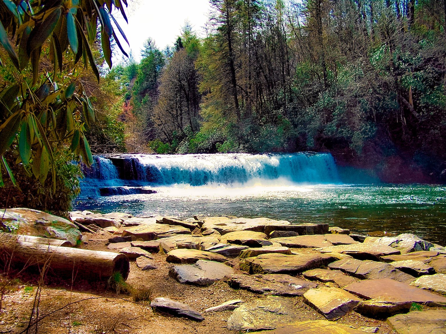 Mount Mitchell State Park - Deep Gap Trail - Grey Otter Outventures®