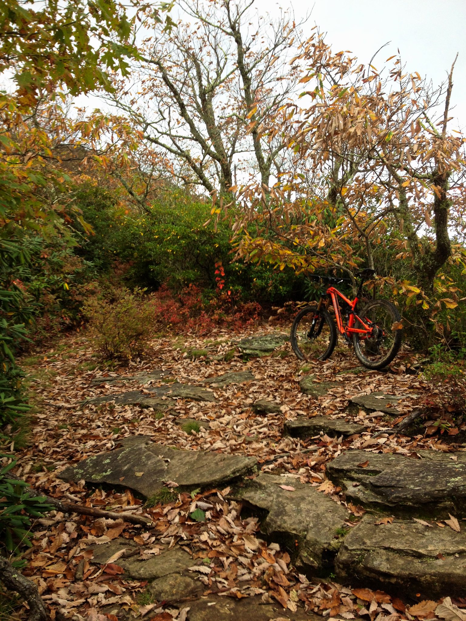 Lunch Loop Mountain Biking Trails - Grey Otter Outventures®