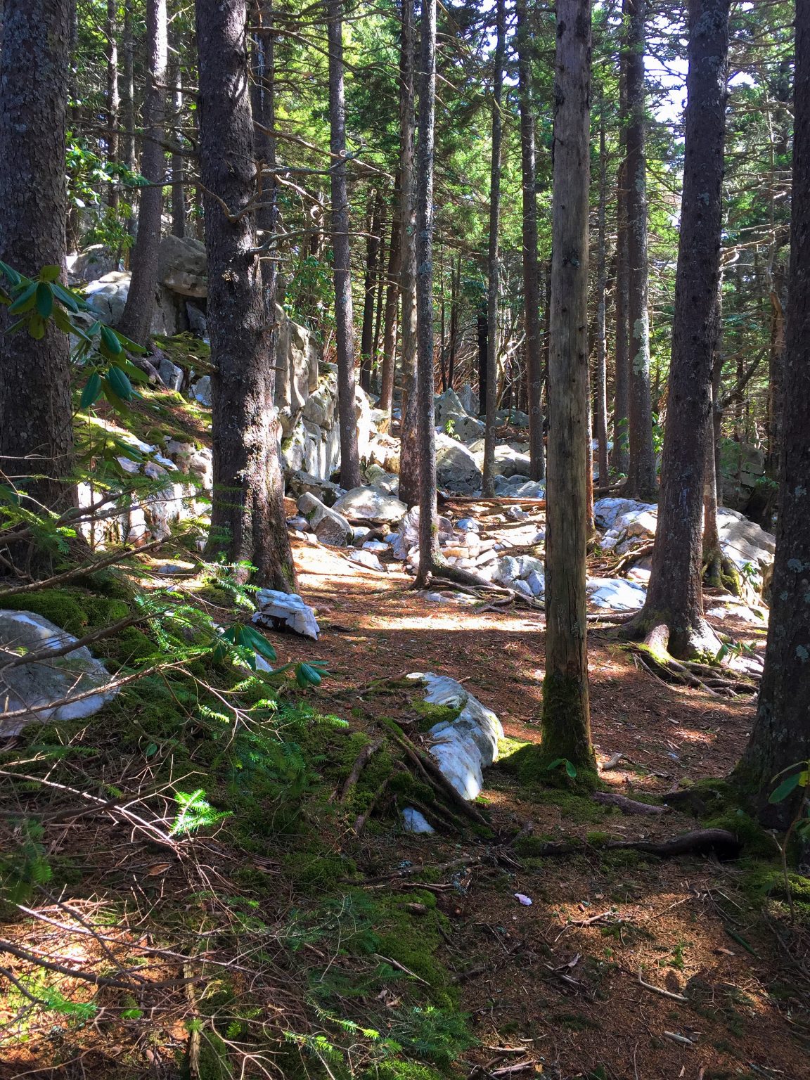 Hiking the Lemei Trail to Lemei Rock - Grey Otter Outventures®
