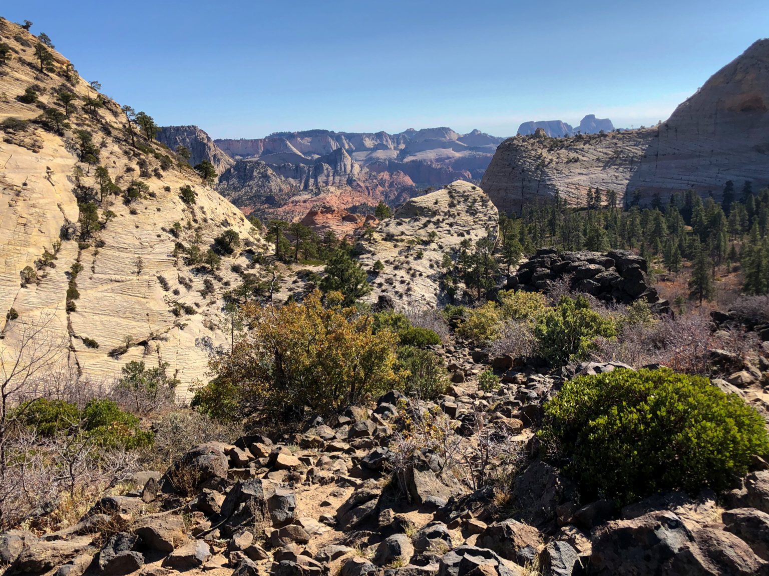 Zion National Park - East Rim Trail - Grey Otter Outventures®
