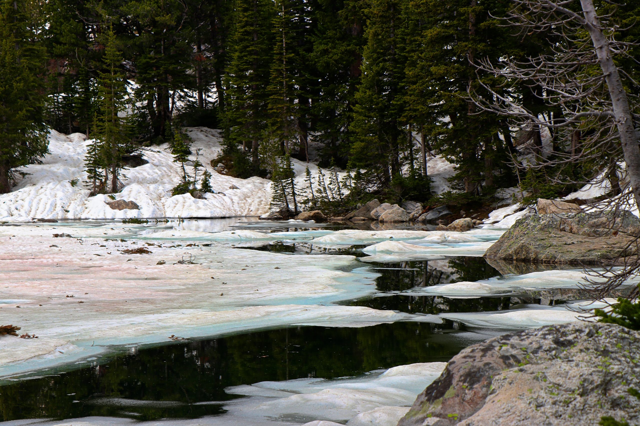 Hiking the Amphitheater Lake Trail - Grey Otter OUTventures®