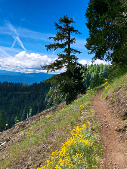 Alpine Trails - Oakridge, OR - Grey Otter Outventures®