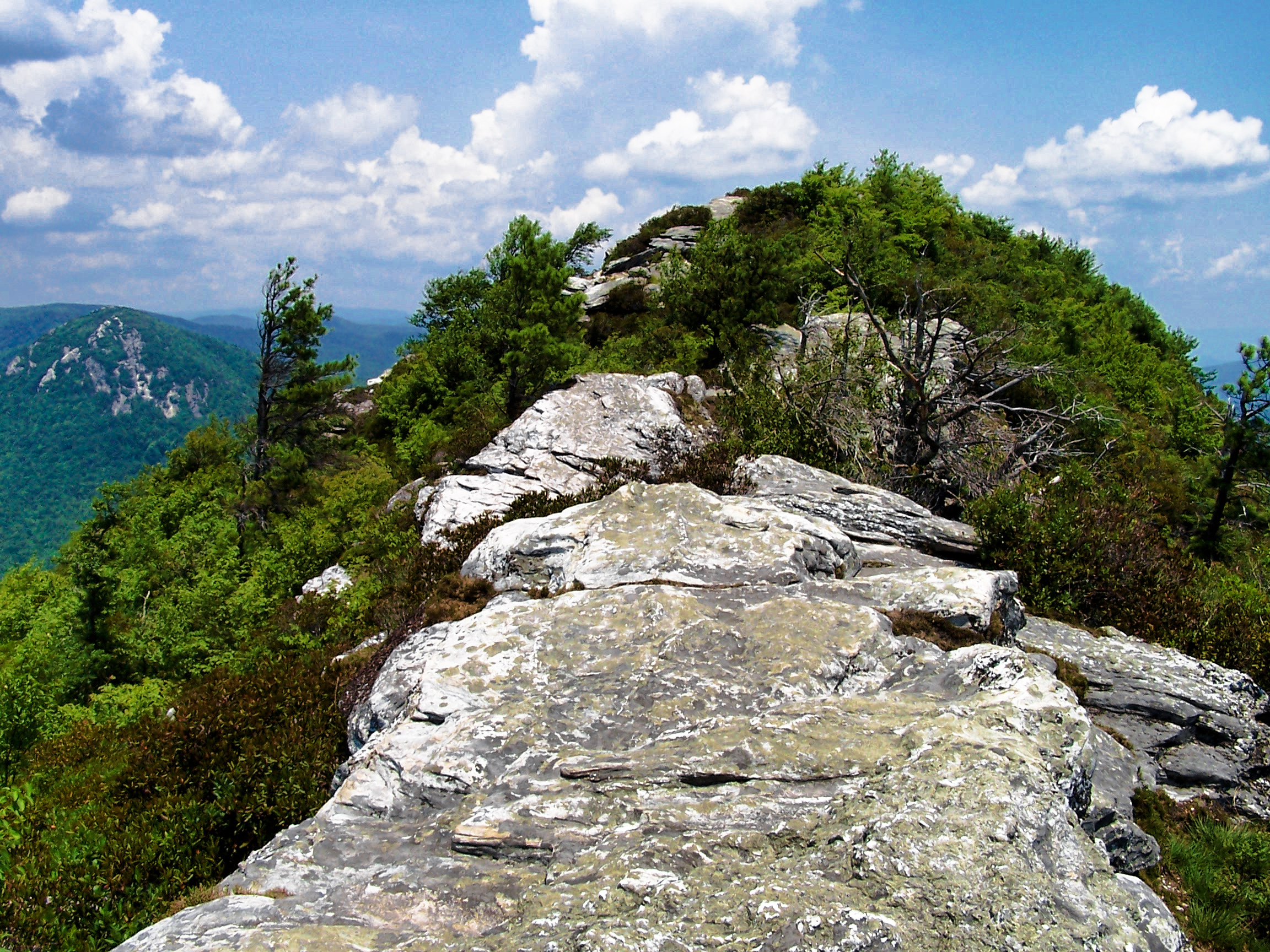 Table Rock, NC - Grey Otter OUTventures®