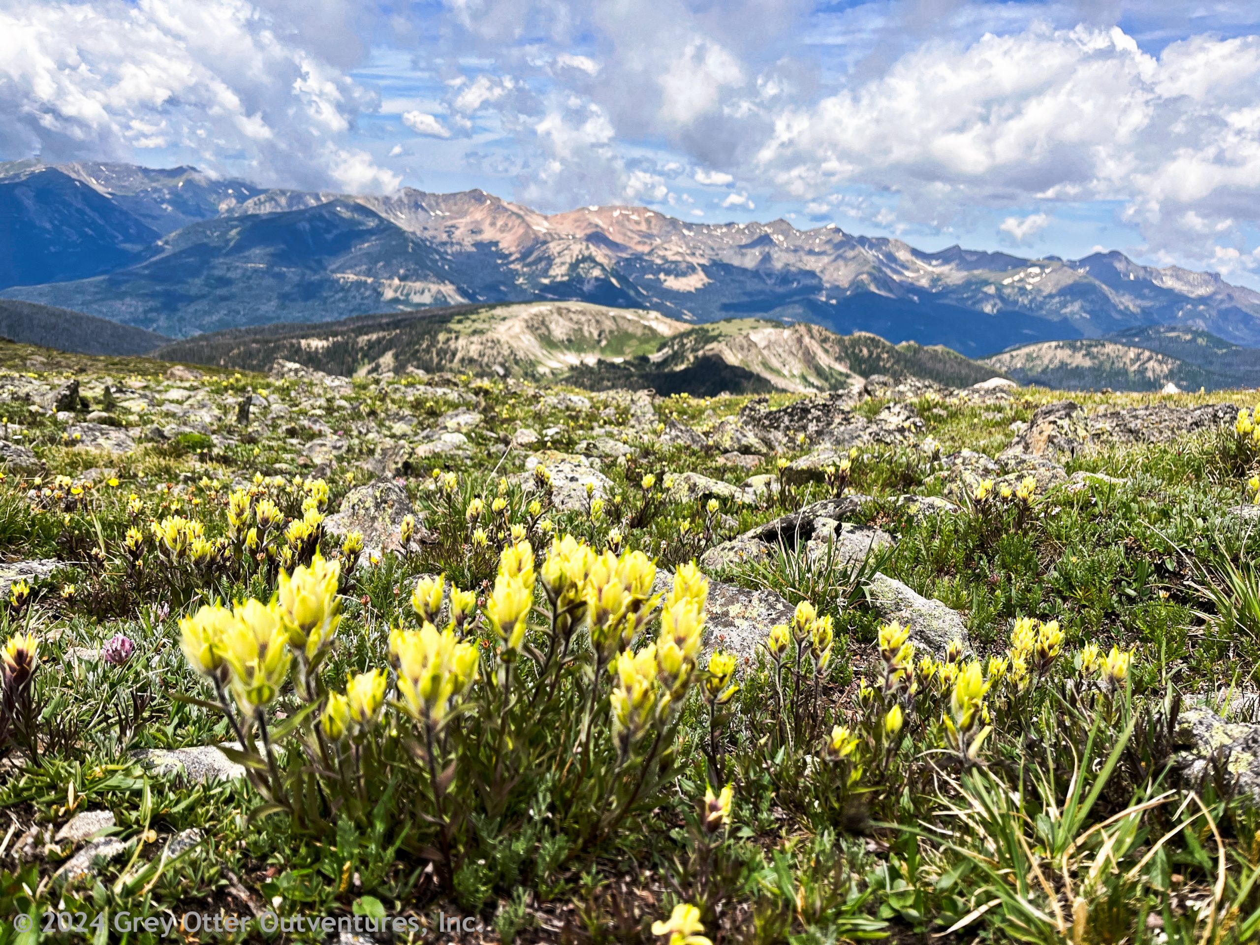 Hike to Mt Ida - Grey Otter Outventures®
