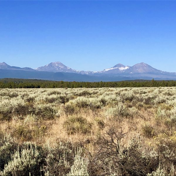 Where to Mountain Bike - Oregon - Grey Otter Outventures