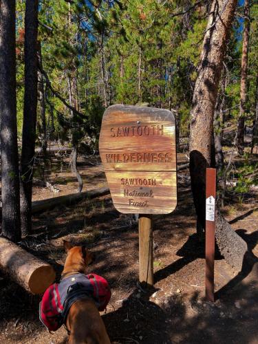 Backpacking to Imogene Lake - Grey Otter Outventures®