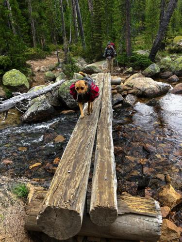 Backpacking to Imogene Lake - Grey Otter Outventures®