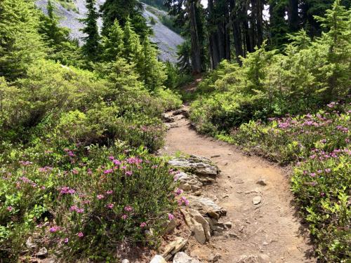 Hiking the Chain Lakes Loop, Washington - Grey Otter Outventures®