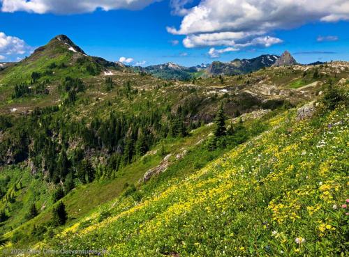 Hiking to Yellow Aster Butte - Grey Otter Outventures®