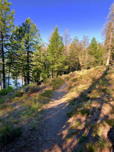 Hiking to Beautiful Alice Lake - Grey Otter Outventures®