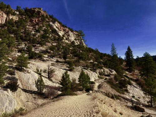Zion National Park - East Rim Trail - Grey Otter Outventures®