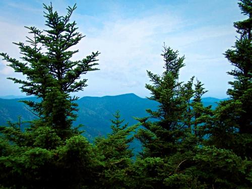 Mount Mitchell State Park - Deep Gap Trail - Grey Otter Outventures®