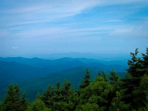 Mount Mitchell State Park - Deep Gap Trail - Grey Otter Outventures®