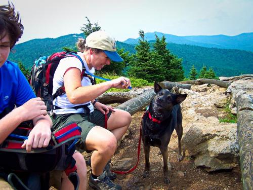 Mount Mitchell State Park - Deep Gap Trail - Grey Otter Outventures®