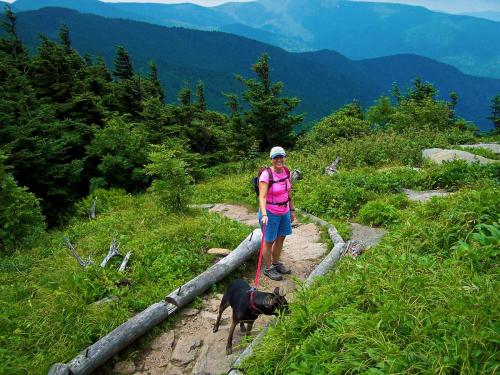 Mount Mitchell State Park - Deep Gap Trail - Grey Otter Outventures®
