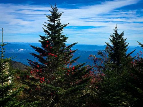 Mount Mitchell State Park - Deep Gap Trail - Grey Otter Outventures®