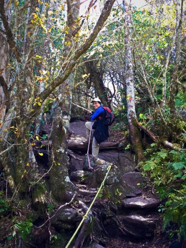 Mount Mitchell State Park - Deep Gap Trail - Grey Otter Outventures®