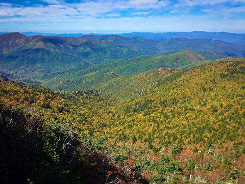Mount Mitchell State Park - Deep Gap Trail - Grey Otter Outventures®