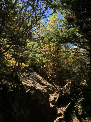 Mount Mitchell State Park - Deep Gap Trail - Grey Otter Outventures®