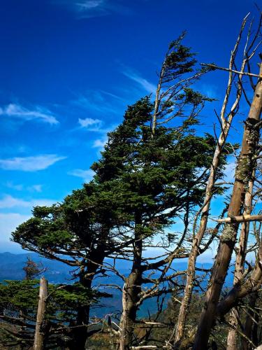Mount Mitchell State Park - Deep Gap Trail - Grey Otter Outventures®