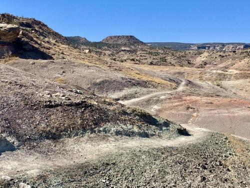 Lunch Loop Mountain Biking Trails - Grey Otter Outventures®