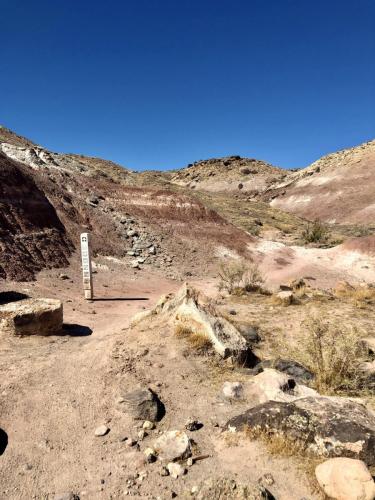 Lunch Loop Mountain Biking Trails - Grey Otter Outventures®