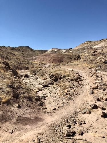 Lunch Loop Mountain Biking Trails - Grey Otter Outventures®