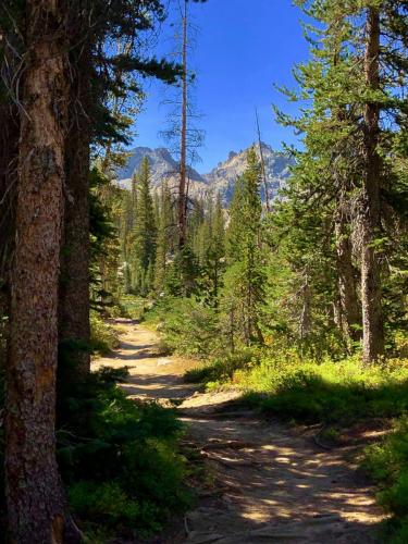 Hiking to Beautiful Alice Lake - Grey Otter Outventures®
