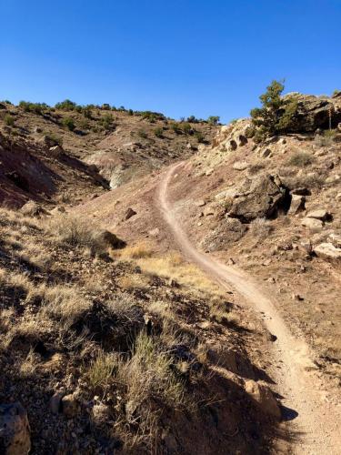 Lunch Loop Mountain Biking Trails - Grey Otter Outventures®