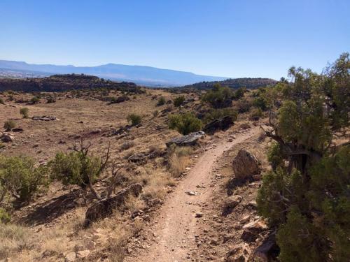 Lunch Loop Mountain Biking Trails - Grey Otter Outventures®