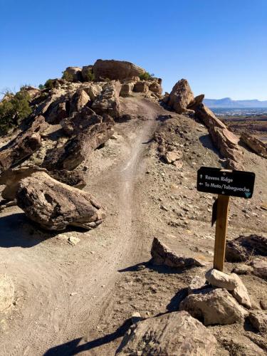 Lunch Loop Mountain Biking Trails - Grey Otter Outventures®