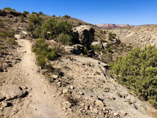 Lunch Loop Mountain Biking Trails - Grey Otter Outventures®